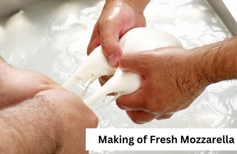 How To Dry Mozzarella Cheese For Pizza {Easy tips}
